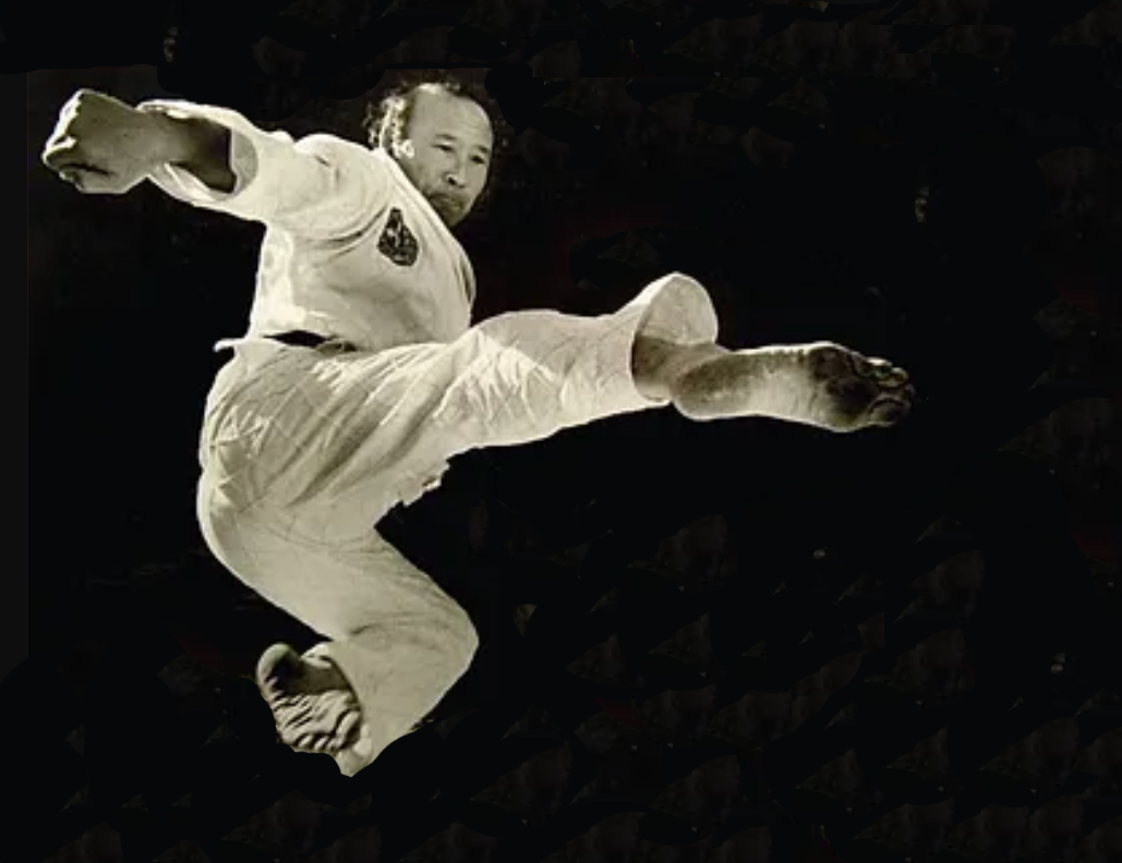 In Memoriam: Grandmaster Jung Nam Lee